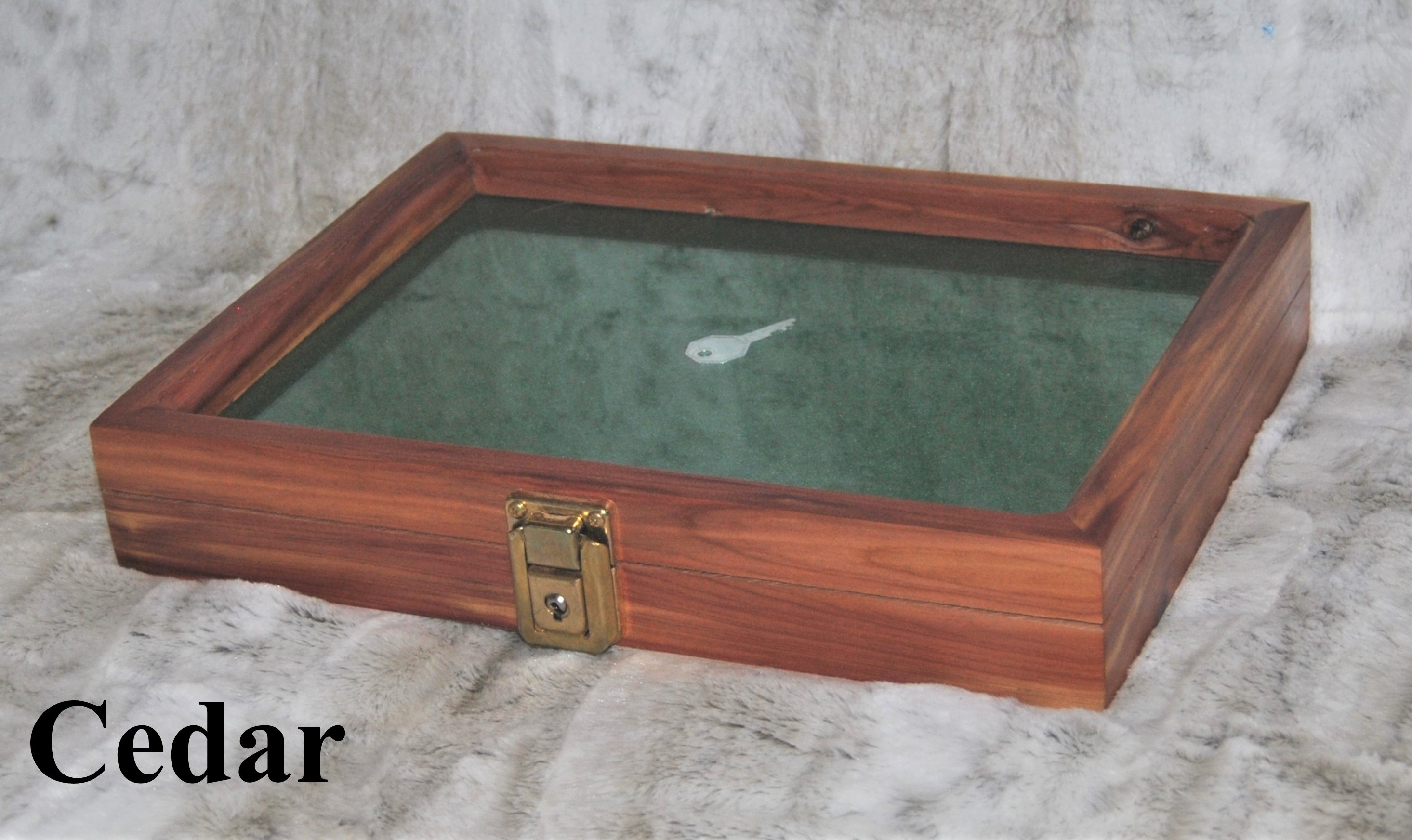Hill Country Indian Artifacts Display Cases
